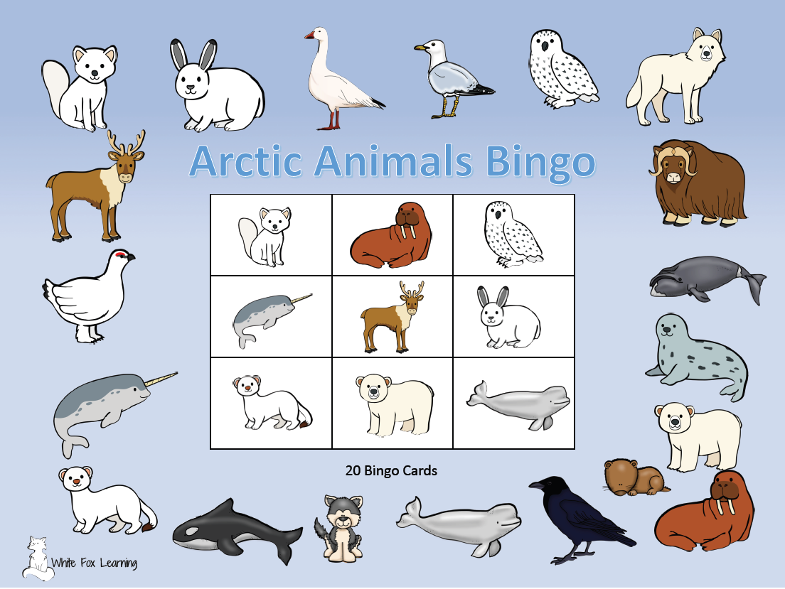 Arctic Animal Bingo - Digital Product – White Fox Learning