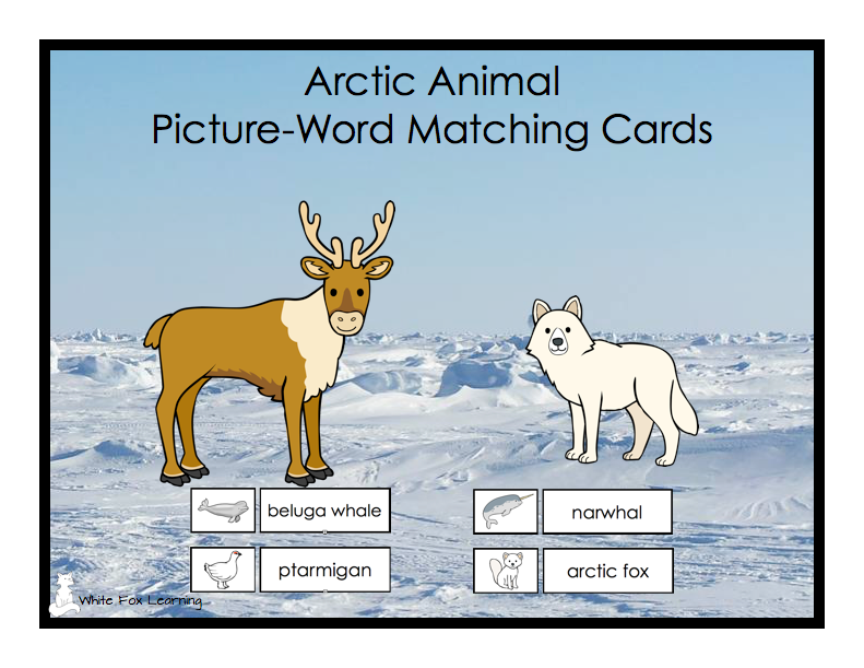 Arctic Animals Matching Cards - Digital Product – White Fox Learning