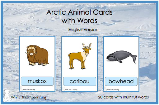 Arctic Animals Cards with Words - Digital Product – White Fox Learning