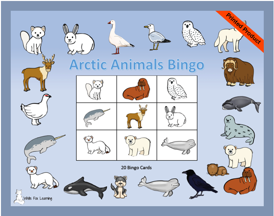 Arctic Animals Number Cards - 1-10 - Digital – White Fox Learning