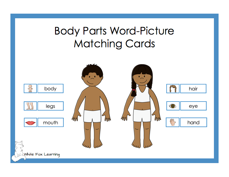 Body Parts Word-Picture Matching Cards - Digital Product – White Fox ...