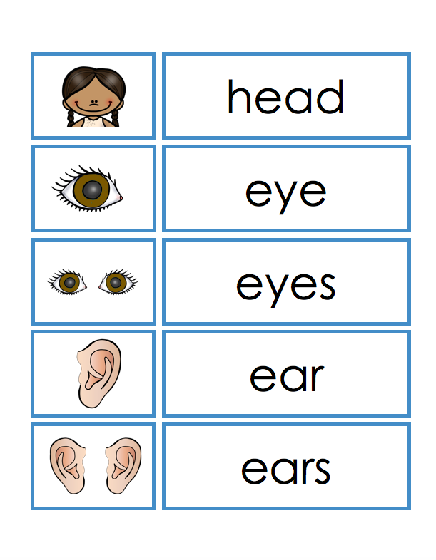 Printable Blank Body Parts Flash Cards