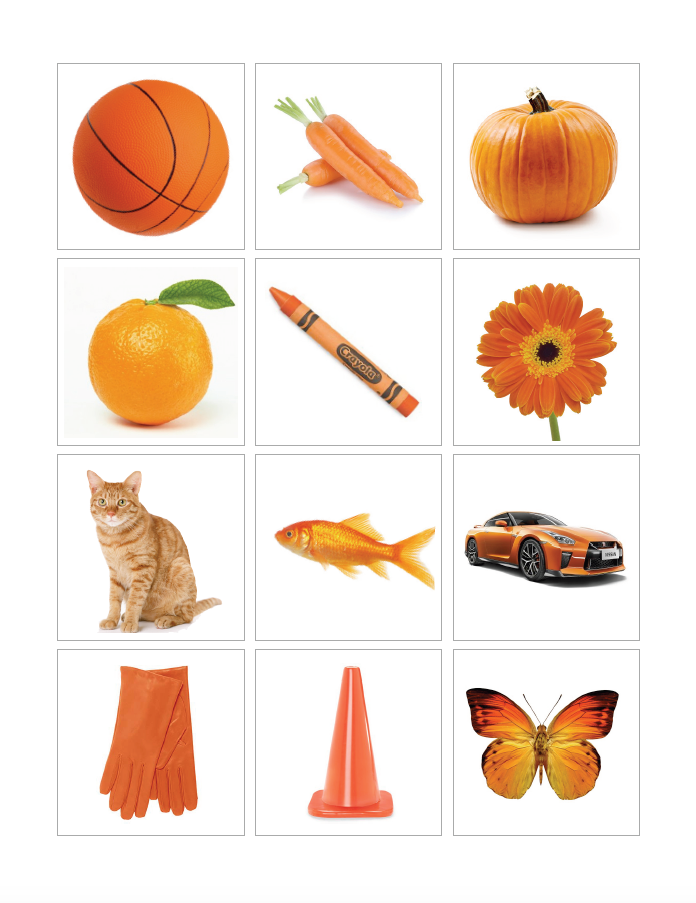 Colour Matching Cards - Digital Product – White Fox Learning